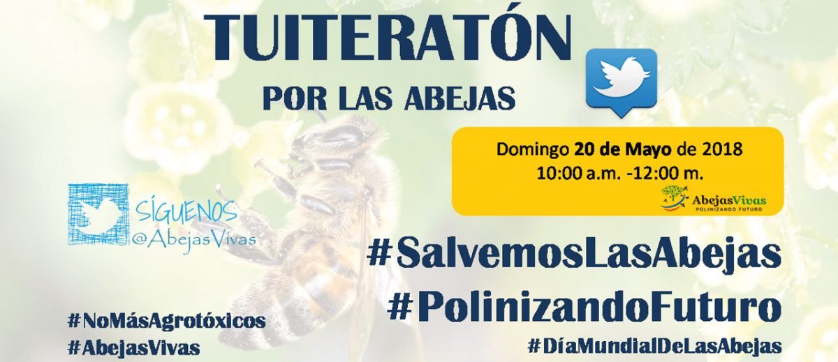 Dia mundial de las abejas 2018 – Abejas Vivas